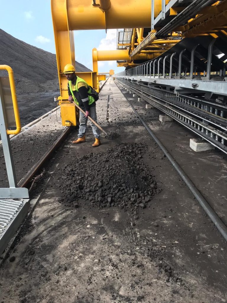 Plant Cleaning Services - JB KINGS